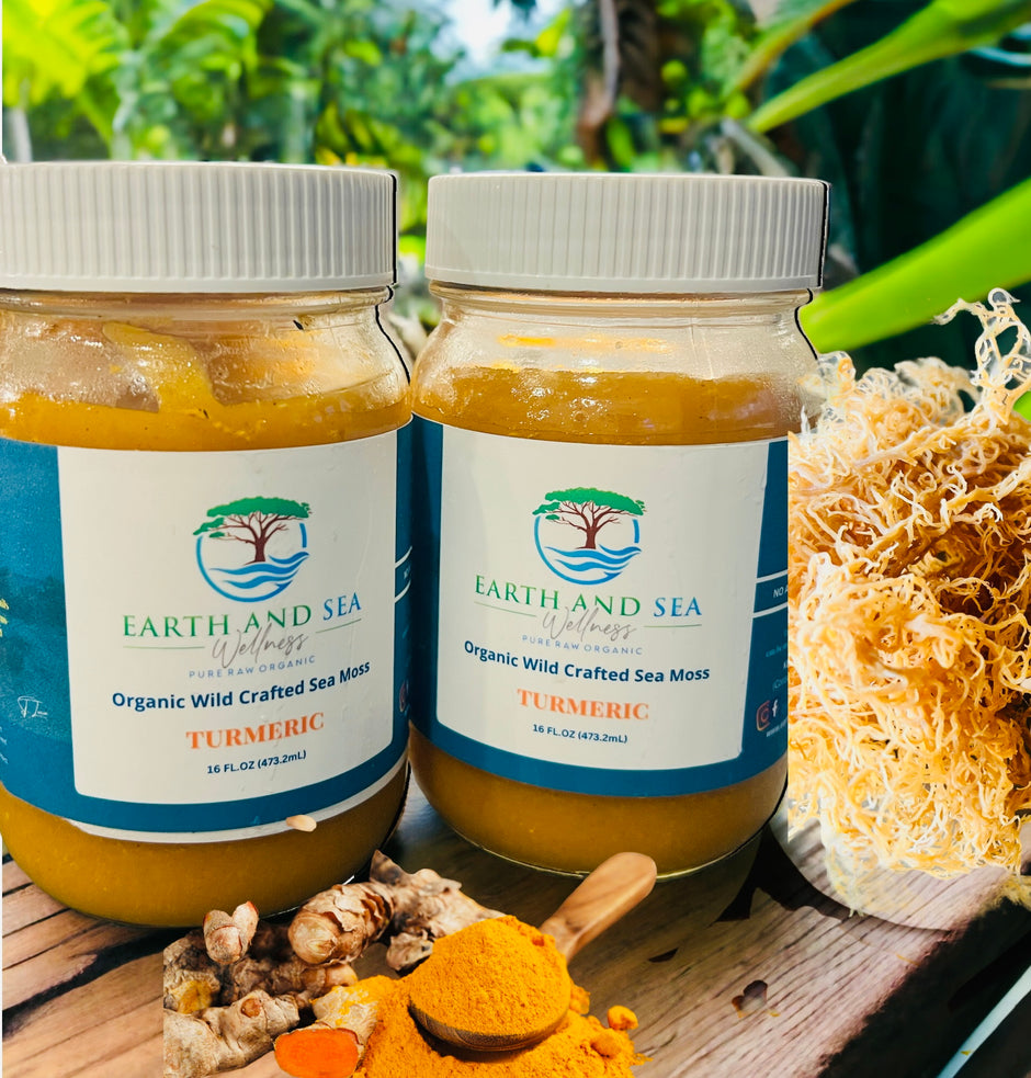 Wild Crafted Sea Moss – Earth and Sea Wellness