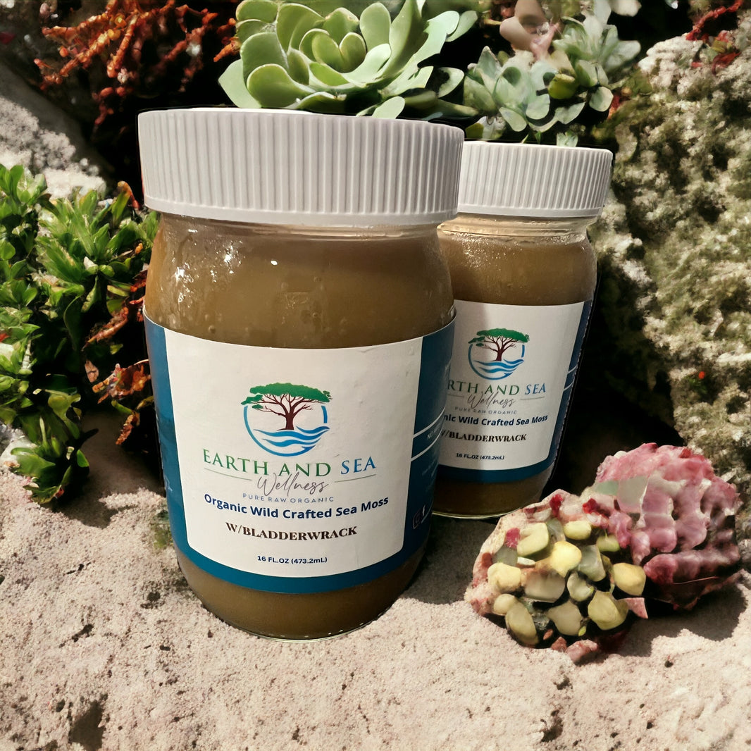 Wild Crafted Sea Moss – Earth and Sea Wellness