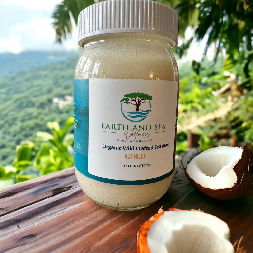 Wild Crafted Sea Moss – Earth and Sea Wellness